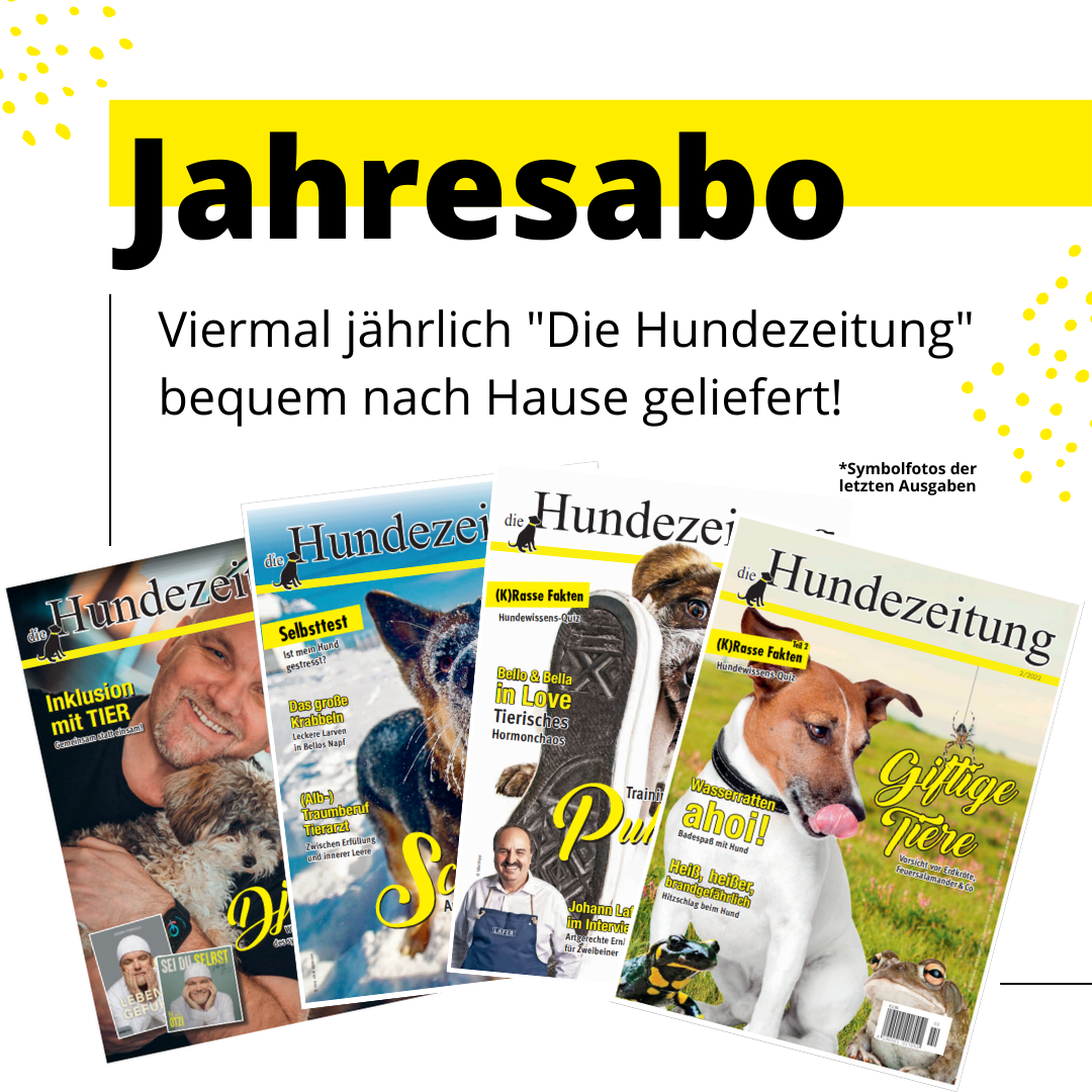 Jahresabo – diehundezeitung.com
